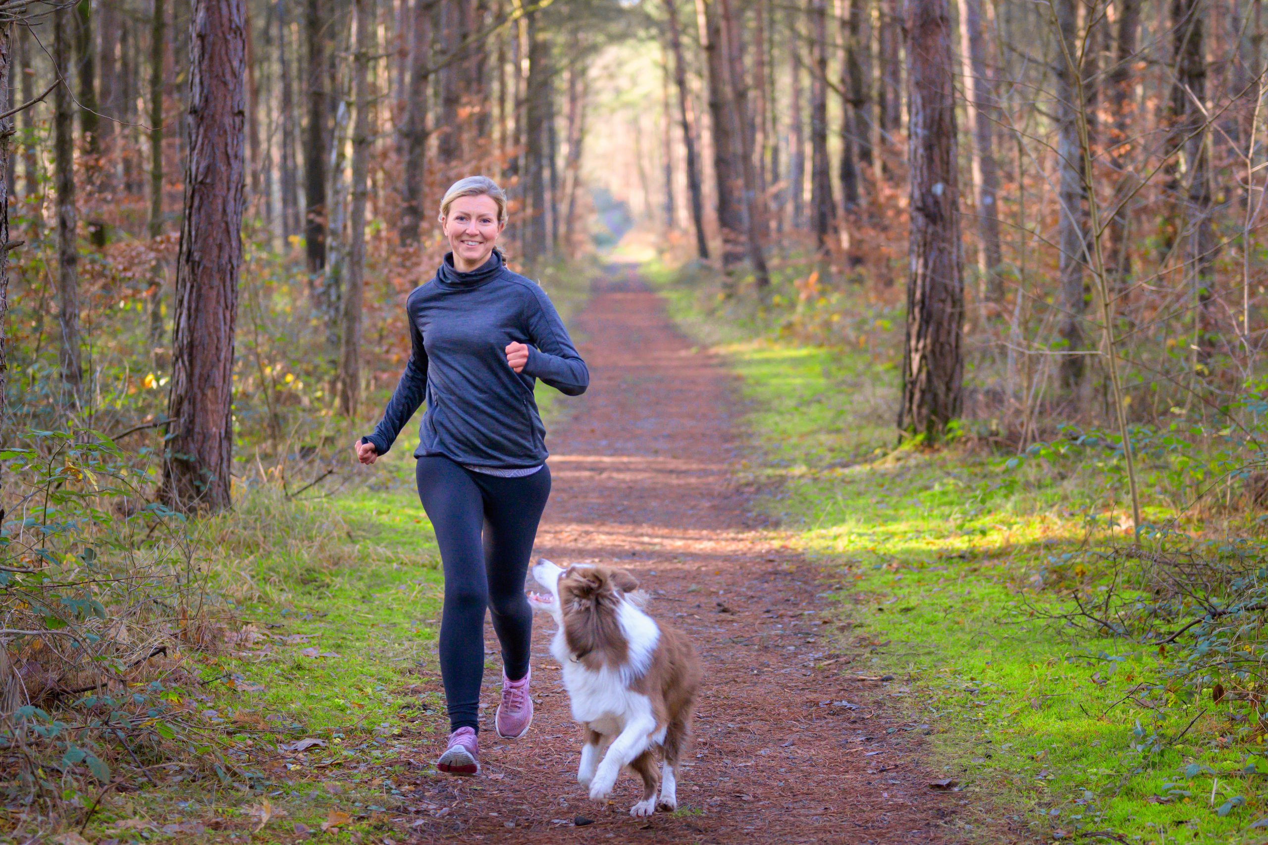 Cours collectifs pour chiens à Loos, Lille & Weppes